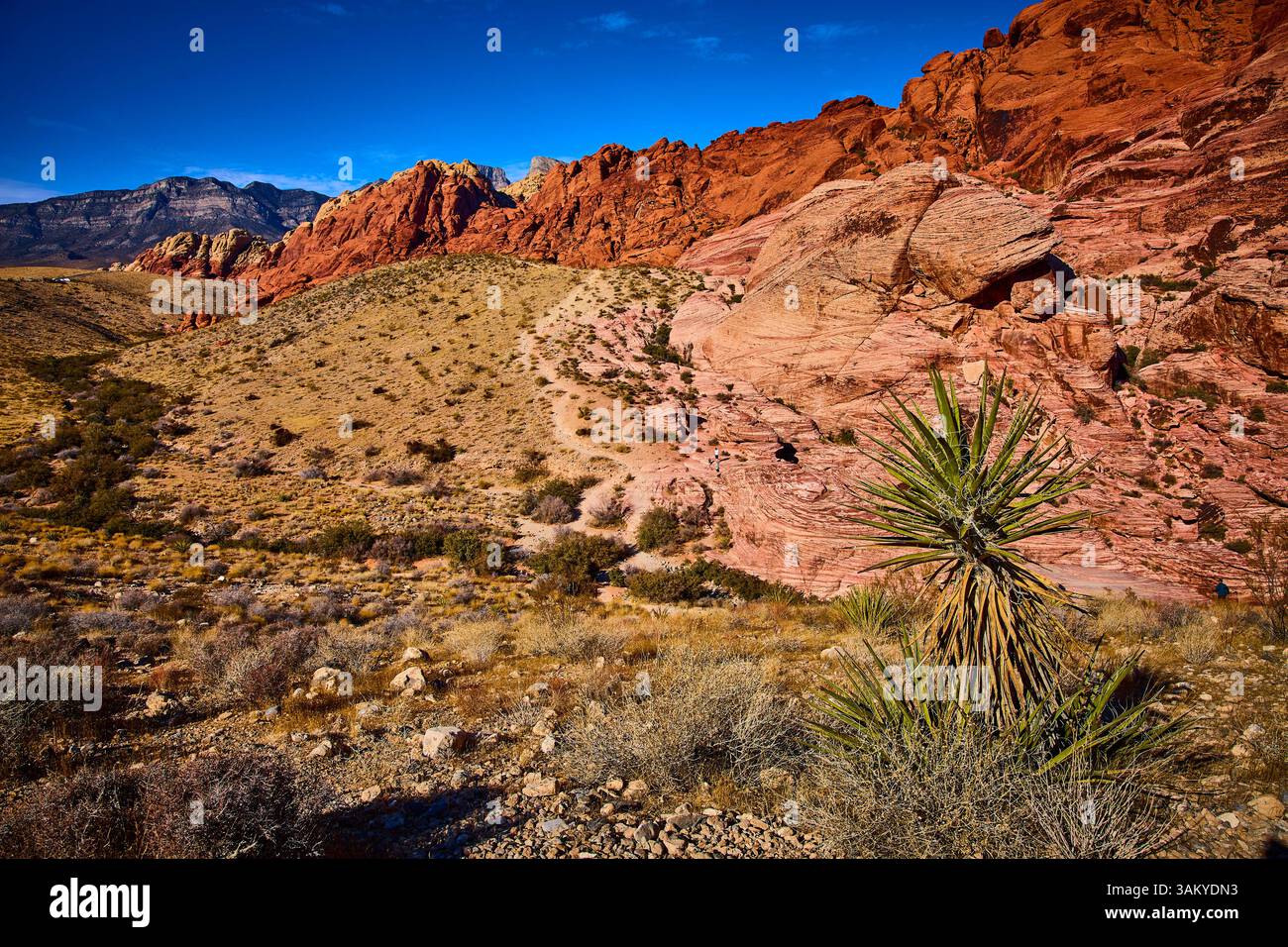 Yucca red sandstone formations hi-res stock photography and images - Alamy