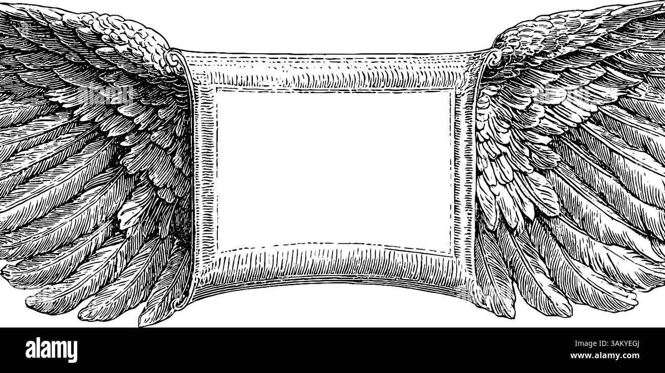 Vintage engraved illustration of phoenix wings frame for decorative ...