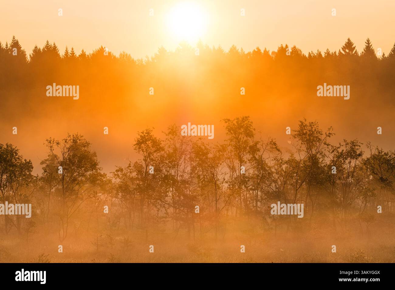 Early morning mist envelops the landscape around Gothenburg as the sun ...