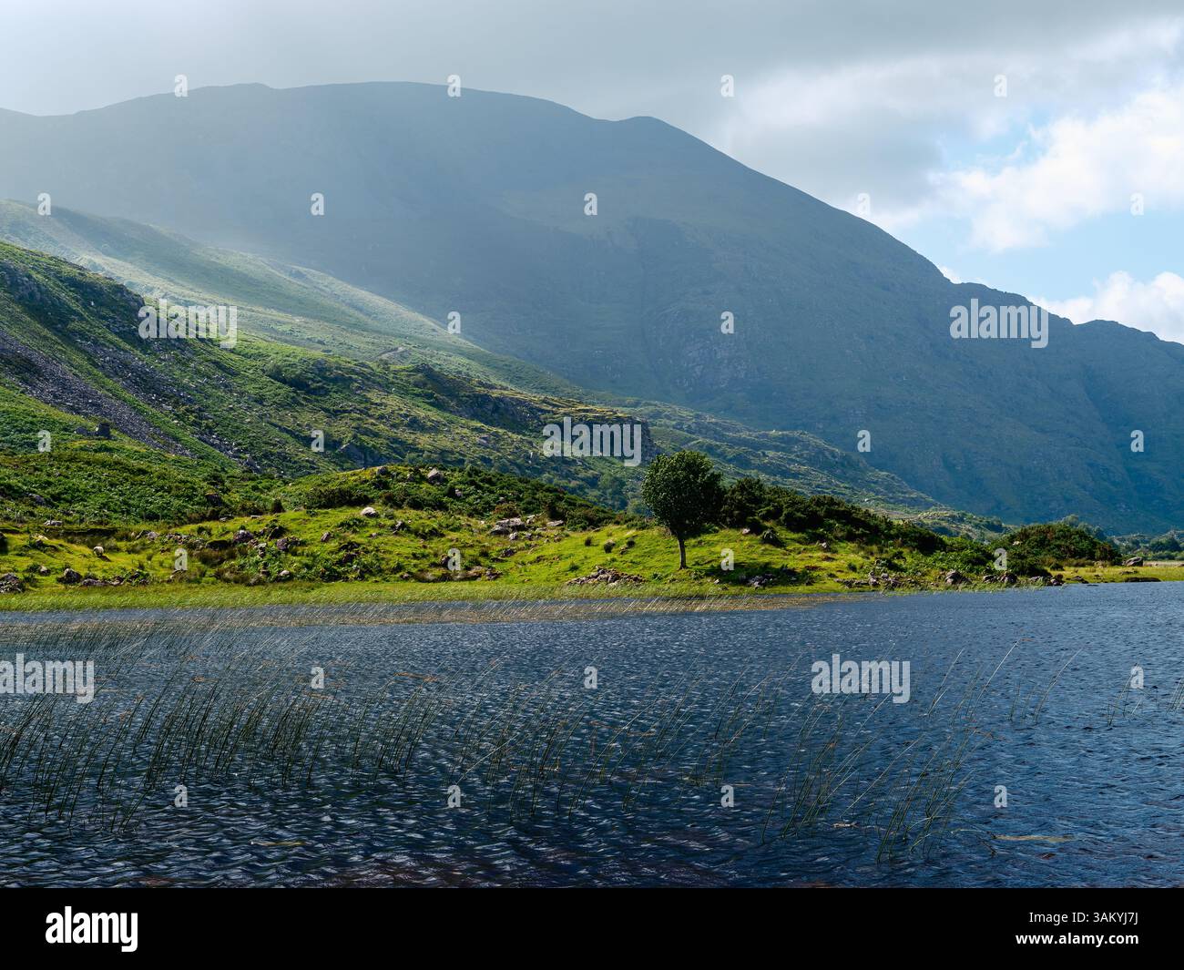Black Lake in Ireland offers a tranquil escape with its calm waters and ...