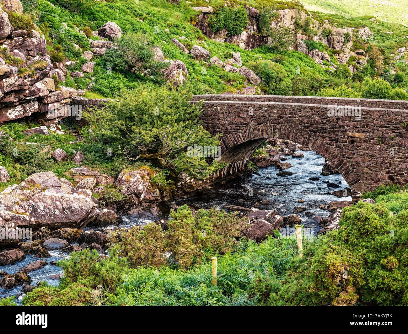 Wishing Bridge in Ireland surrounded by lush greenery and flowing water ...