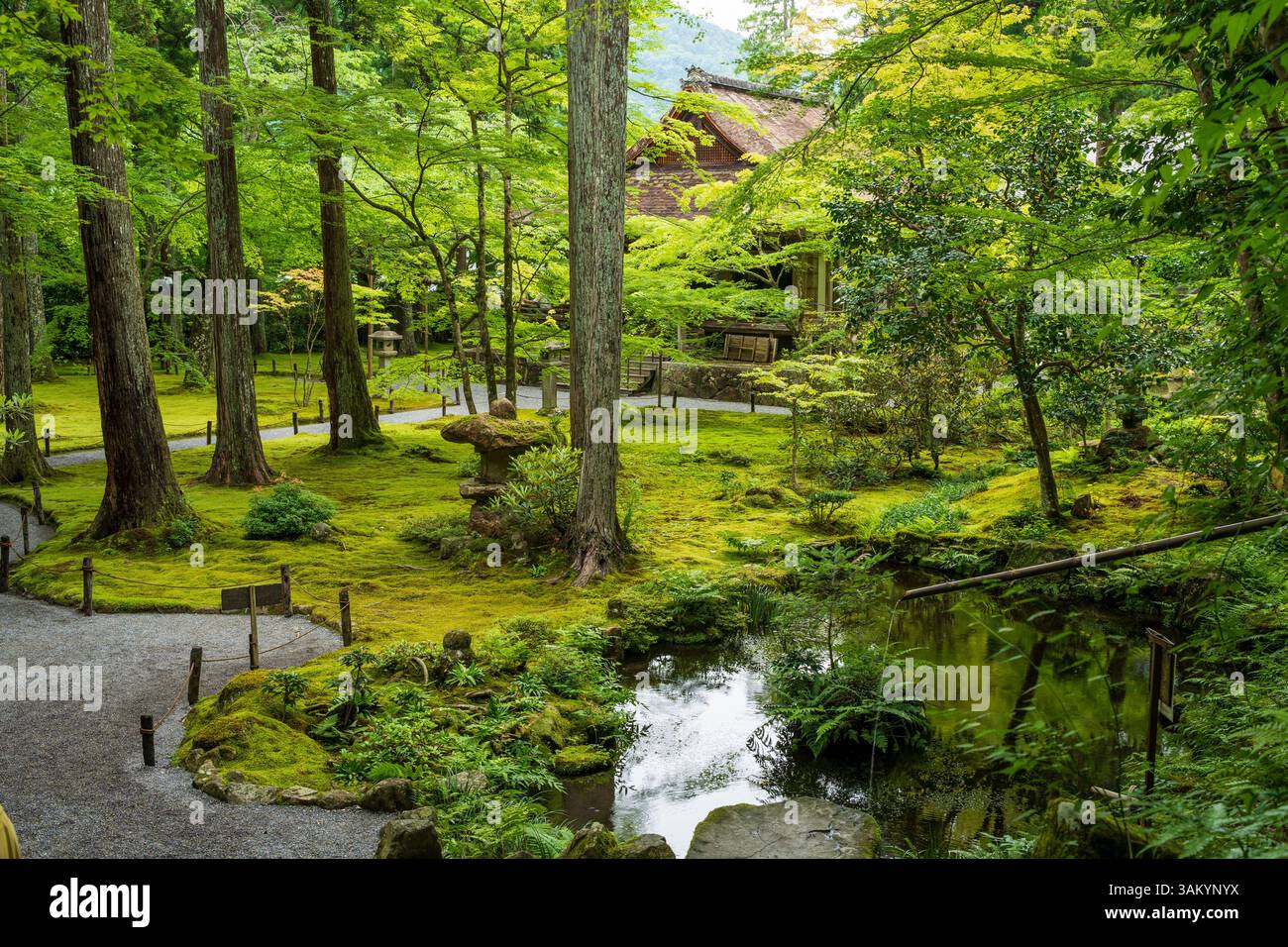Sanzen-in Temple Japanese garden and pond in summer. Ohara, Kyoto ...