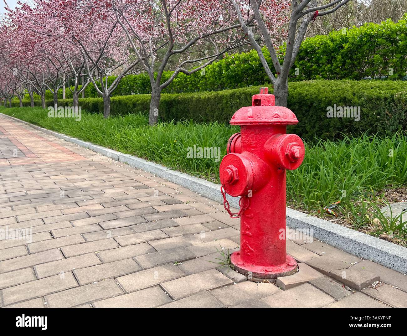 A Bright Red Fire Hydrant Set Against a Beautiful, Scenic Park ...