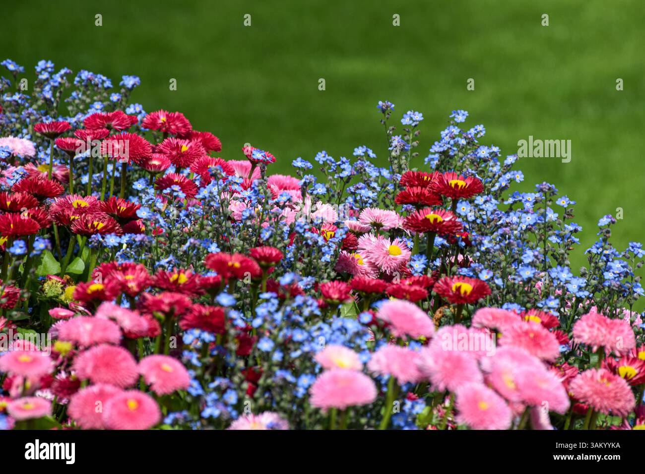 Mix of vibrant blue hi-res stock photography and images - Alamy