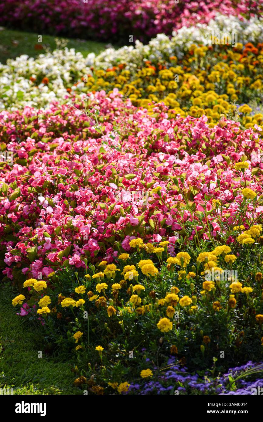 Hints of colorful flowers hi-res stock photography and images - Alamy