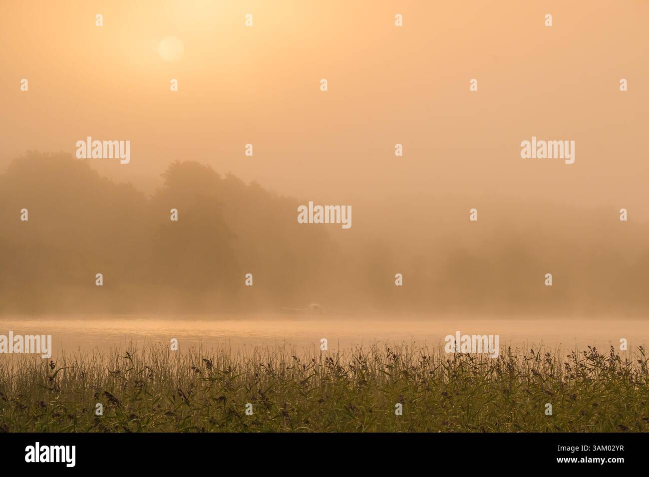 Gentle mist envelops hi-res stock photography and images - Alamy