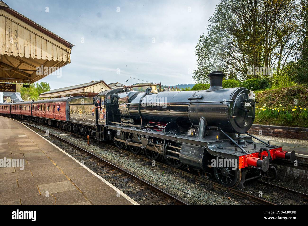 GWR Heavy Freight 3802 steam engine seen at Llangollen station. on the ...