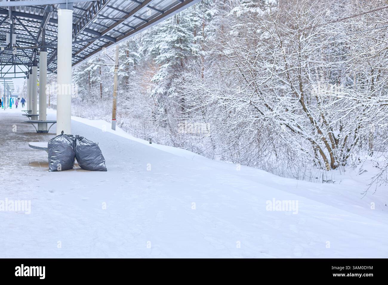 Frozen trees shimmer in the winter light, framing a desolate park scene ...