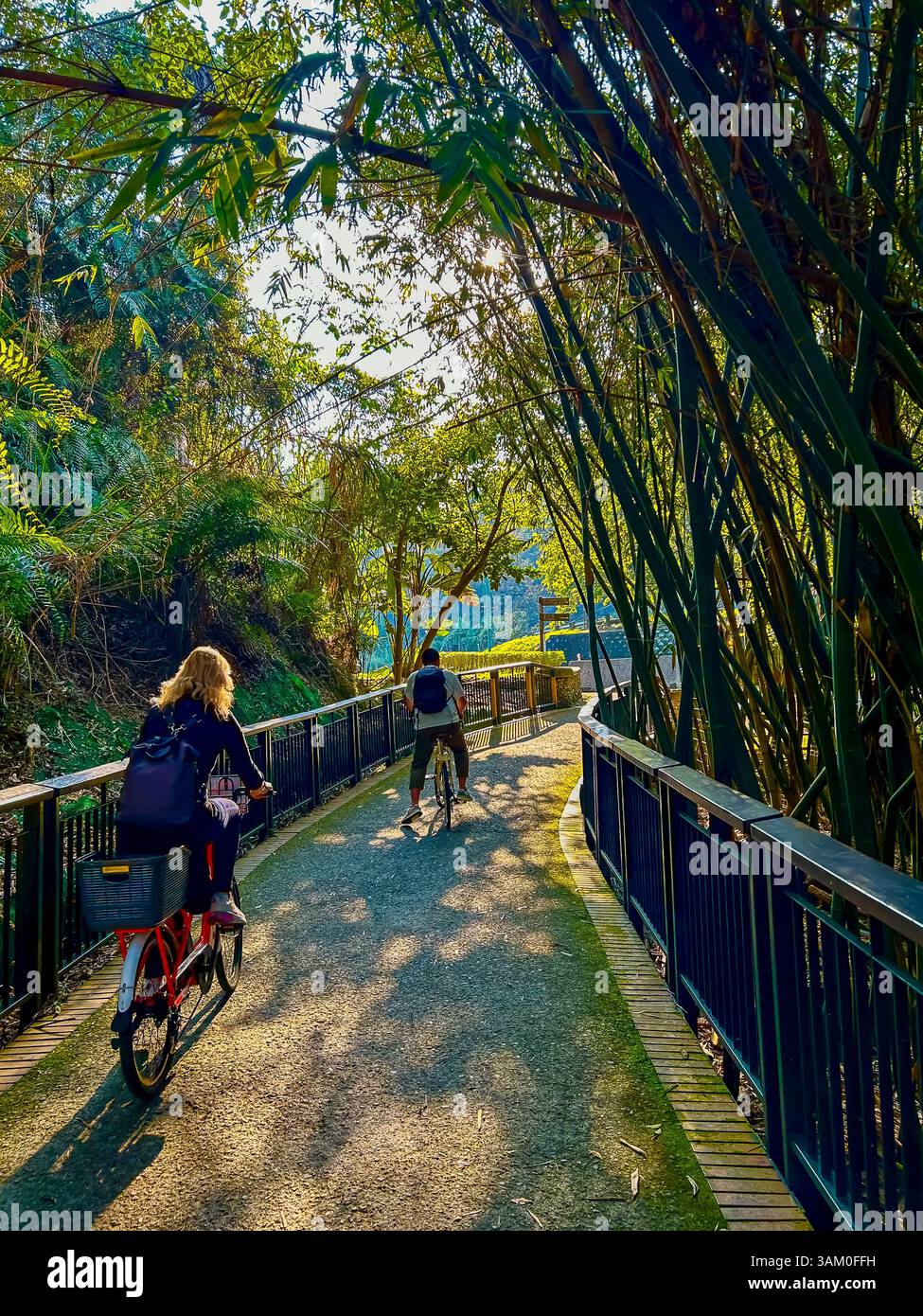 Yuchi, Taiwan, Sun moon Lake, People, Tourists, Cycling on Bicycle Path Along Lake, Leisurely ...