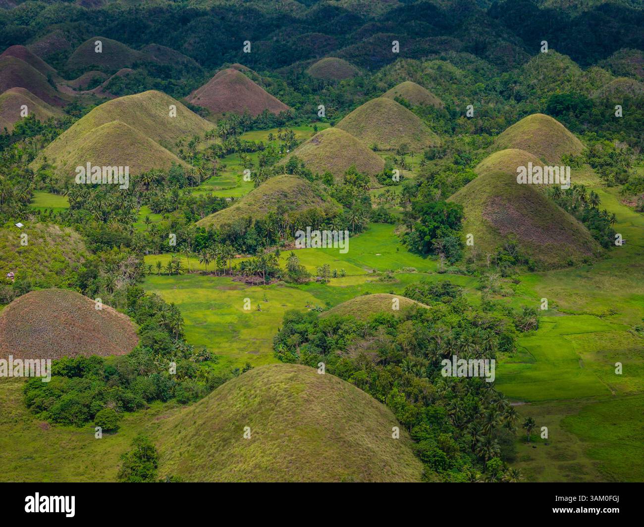 Aerial drone view of Chocolate hills in Bohol island, Philippines ...