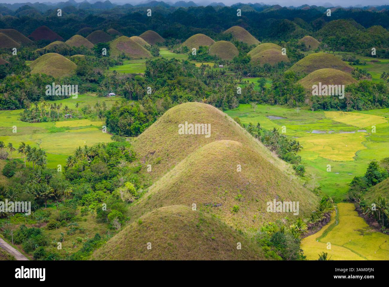 Aerial drone view of Chocolate hills in Bohol island, Philippines ...