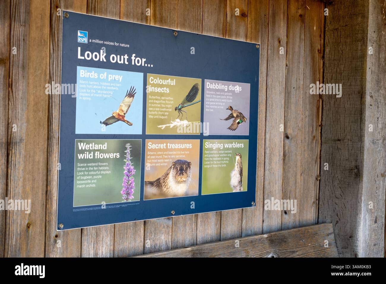Surlingham, Norfolk, UK – April 12 2025. Information board of animals ...