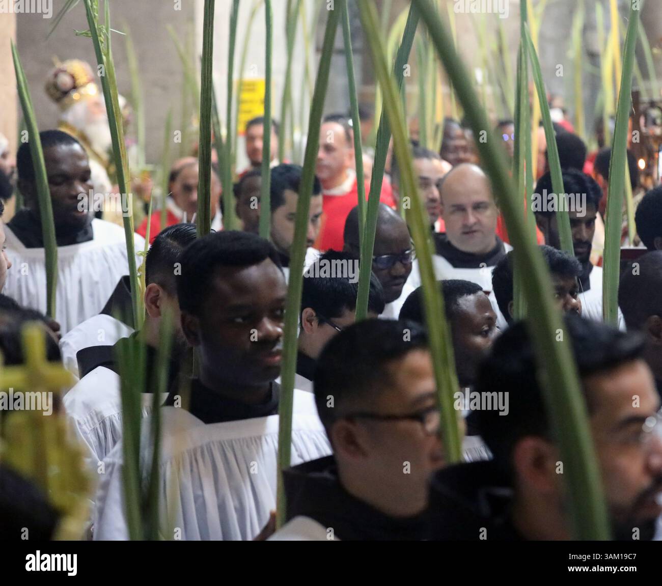 Fronds palm seen holy hi-res stock photography and images - Alamy