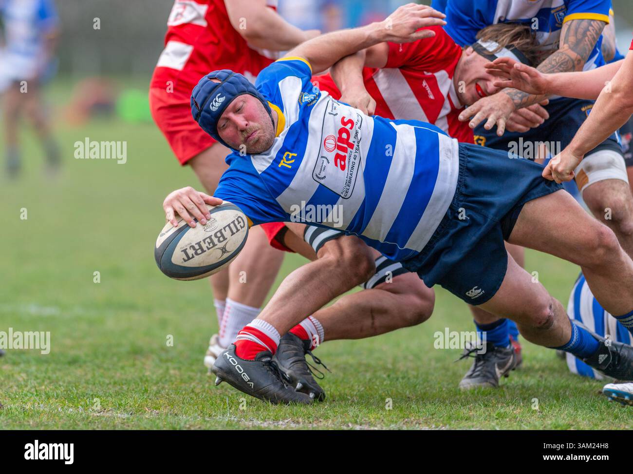 Mens amateur Rugby Union game and player scoring a try Stock Photo - Alamy