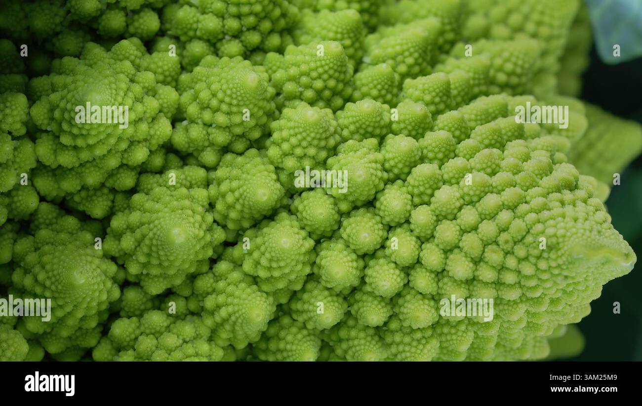 Fibonacci sequence hi-res stock photography and images - Alamy