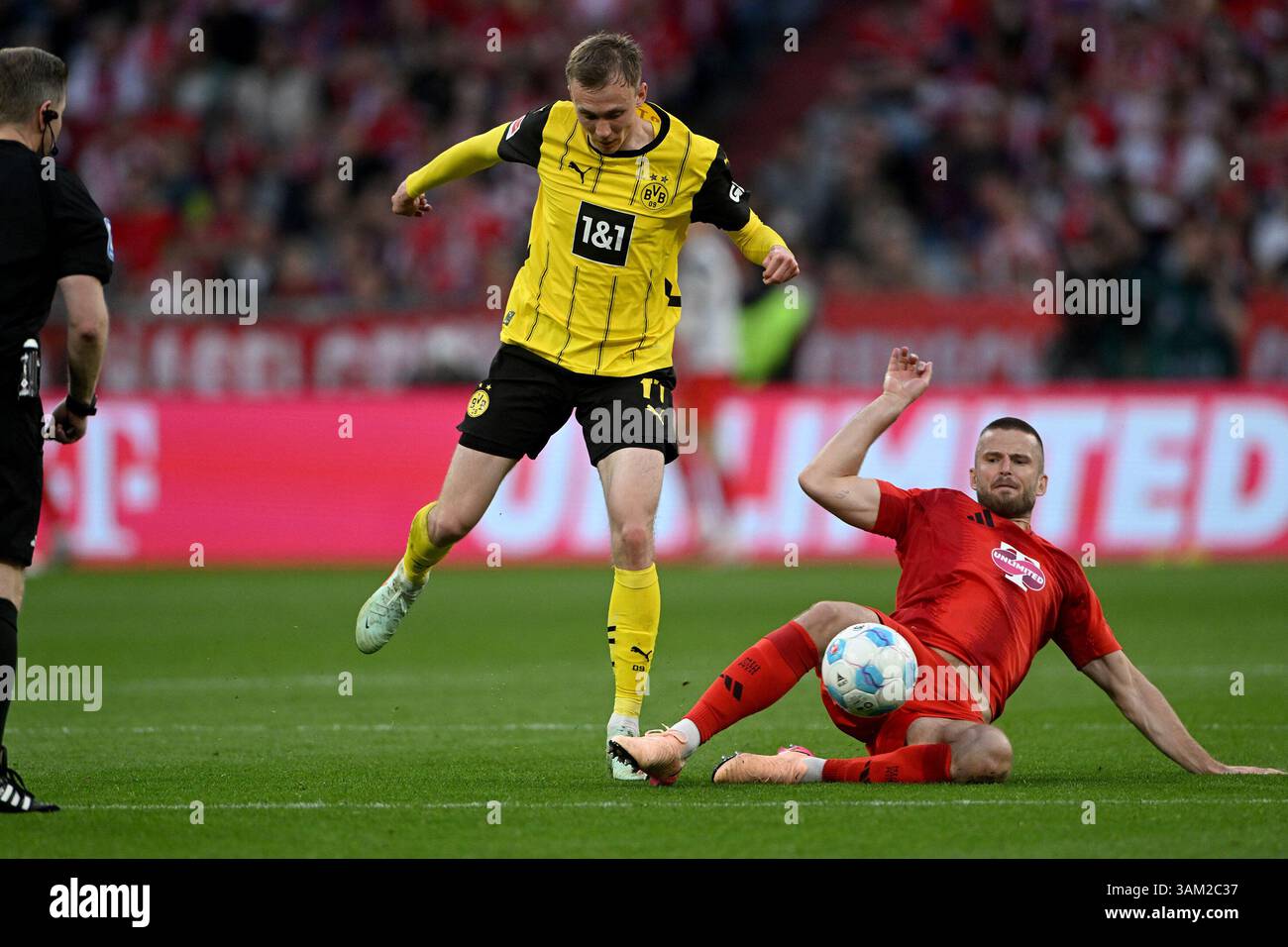 Fussball; Spieltag 29; 1. Bundesliga; Saison 2024/2025; FC Bayern ...