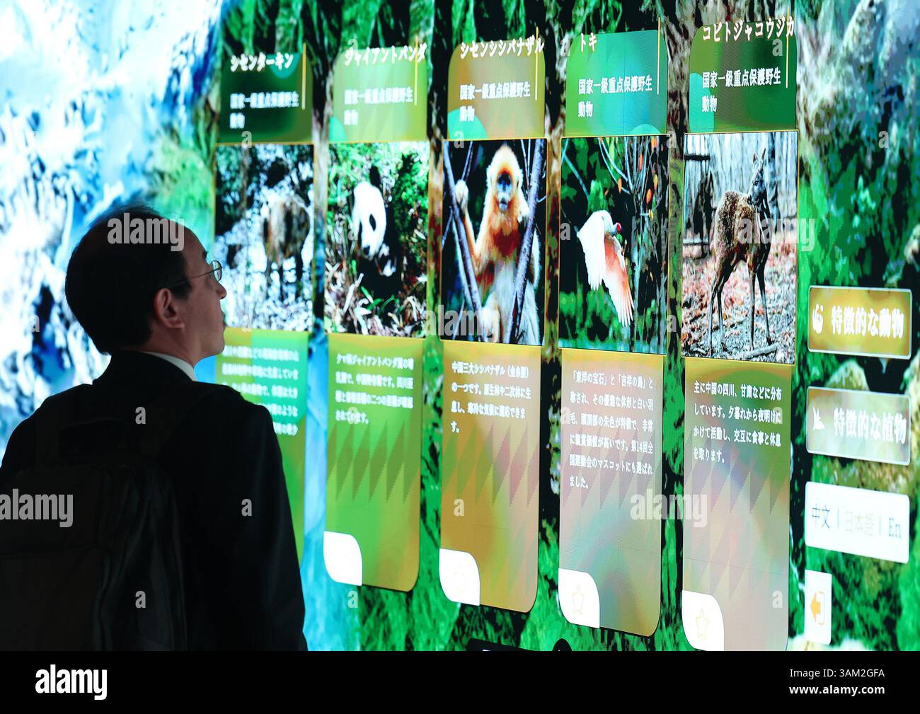 (250413) -- OSAKA, April 13, 2025 (Xinhua) -- A visitor tours the China ...