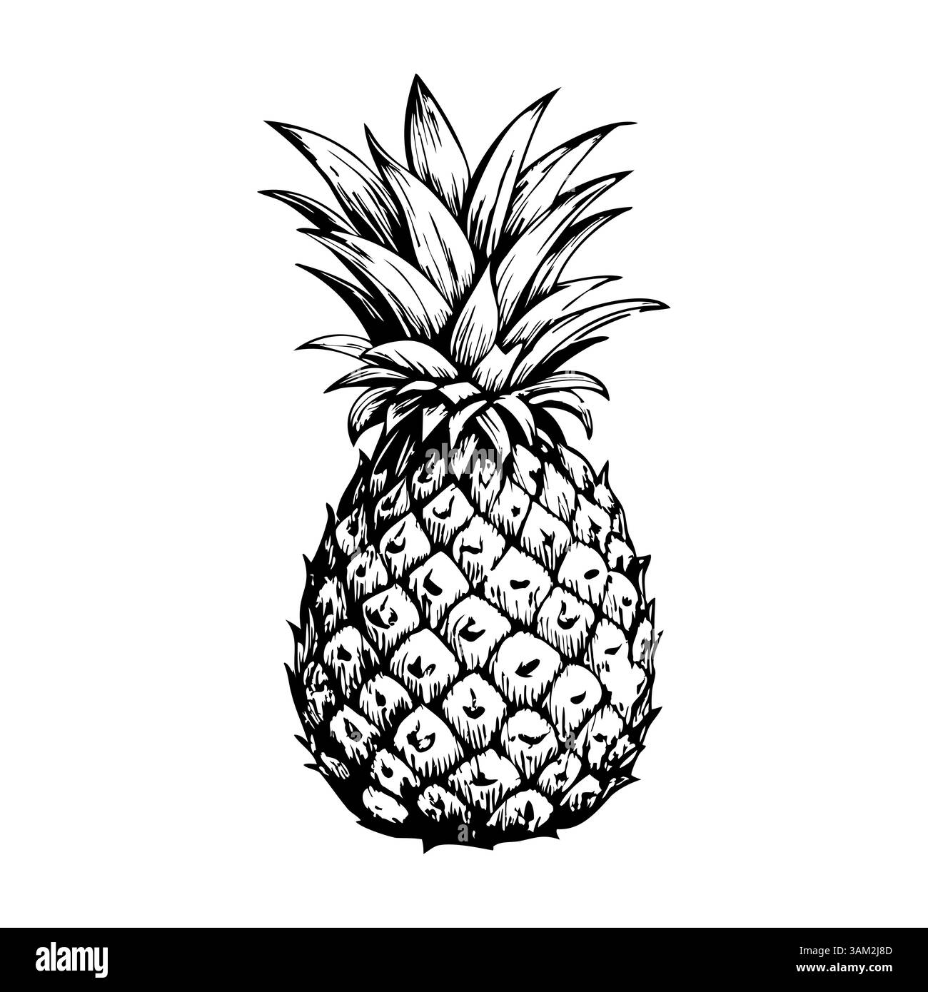 Black white graphic tropical Black and White Stock Photos & Images - Alamy
