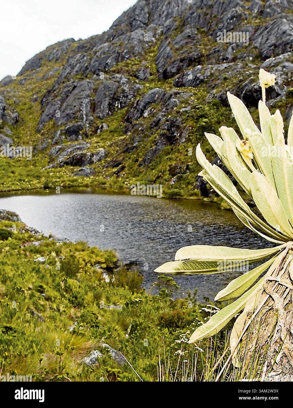 Acueductos de agua hi-res stock photography and images - Alamy