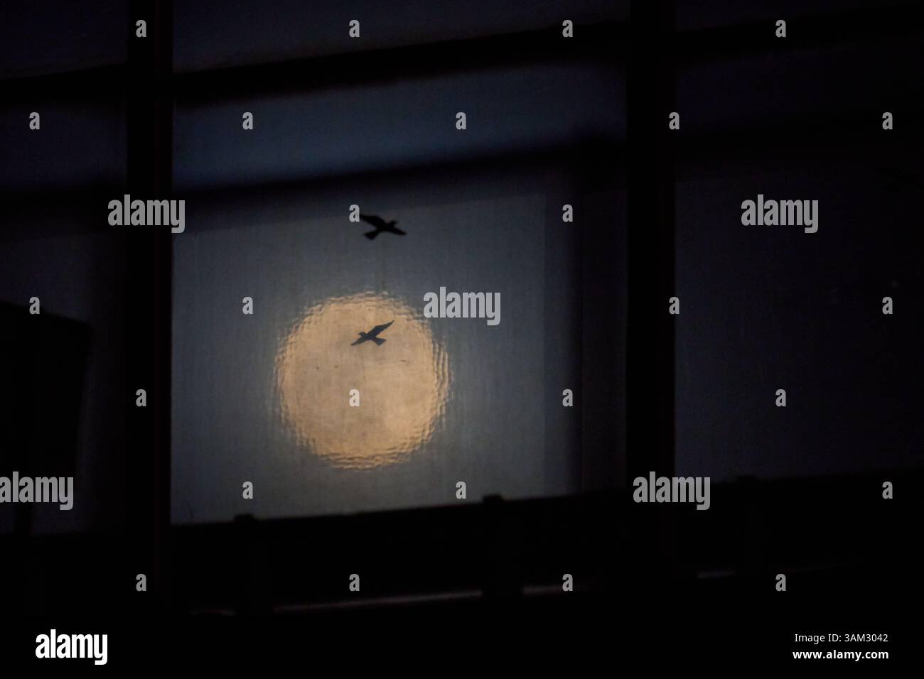 The Pink moon is seen in the sky above Warsaw, Poland on 08 April, 2025 ...