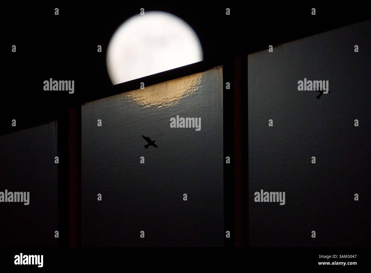 The Pink moon is seen in the sky above Warsaw, Poland on 08 April, 2025 ...