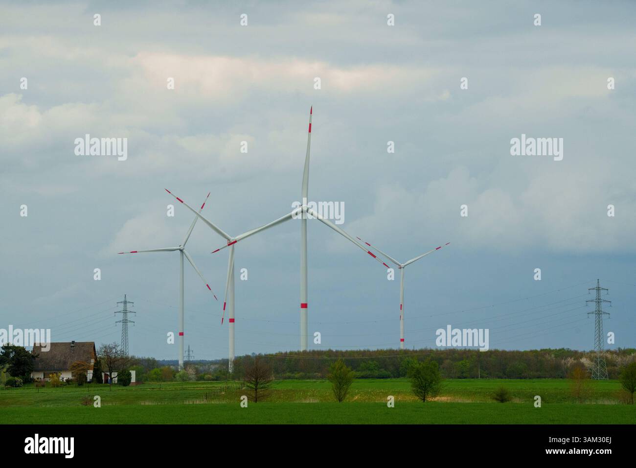 13.04.2025: Erftstadt, Rhein Erft Kreis, NRW, Deutschland Bild ...
