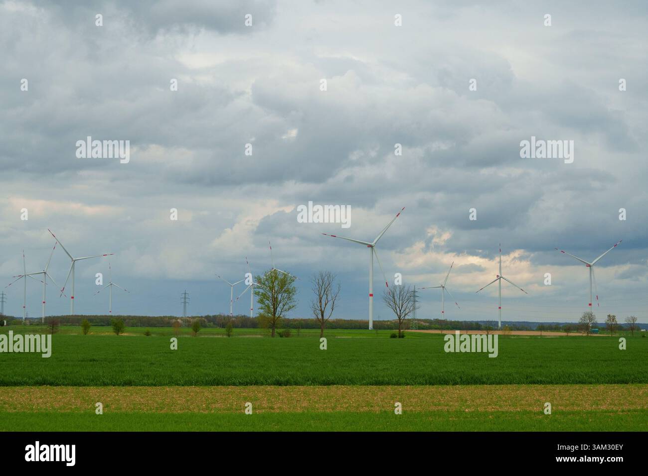 13.04.2025: Erftstadt, Rhein Erft Kreis, NRW, Deutschland Bild ...