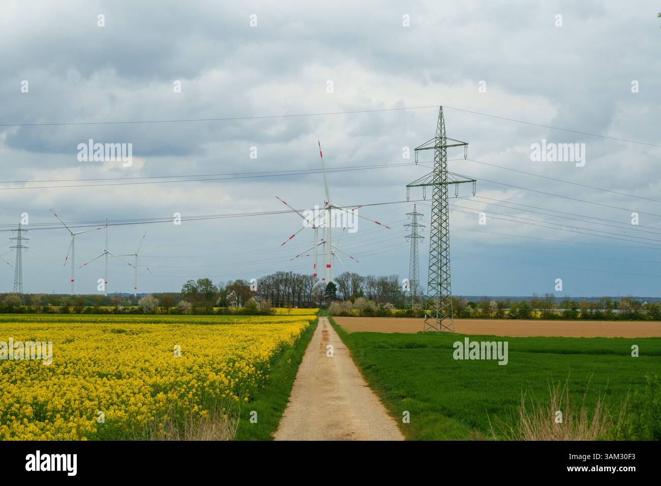 13.04.2025: Erftstadt, Rhein Erft Kreis, NRW, Deutschland Bild ...