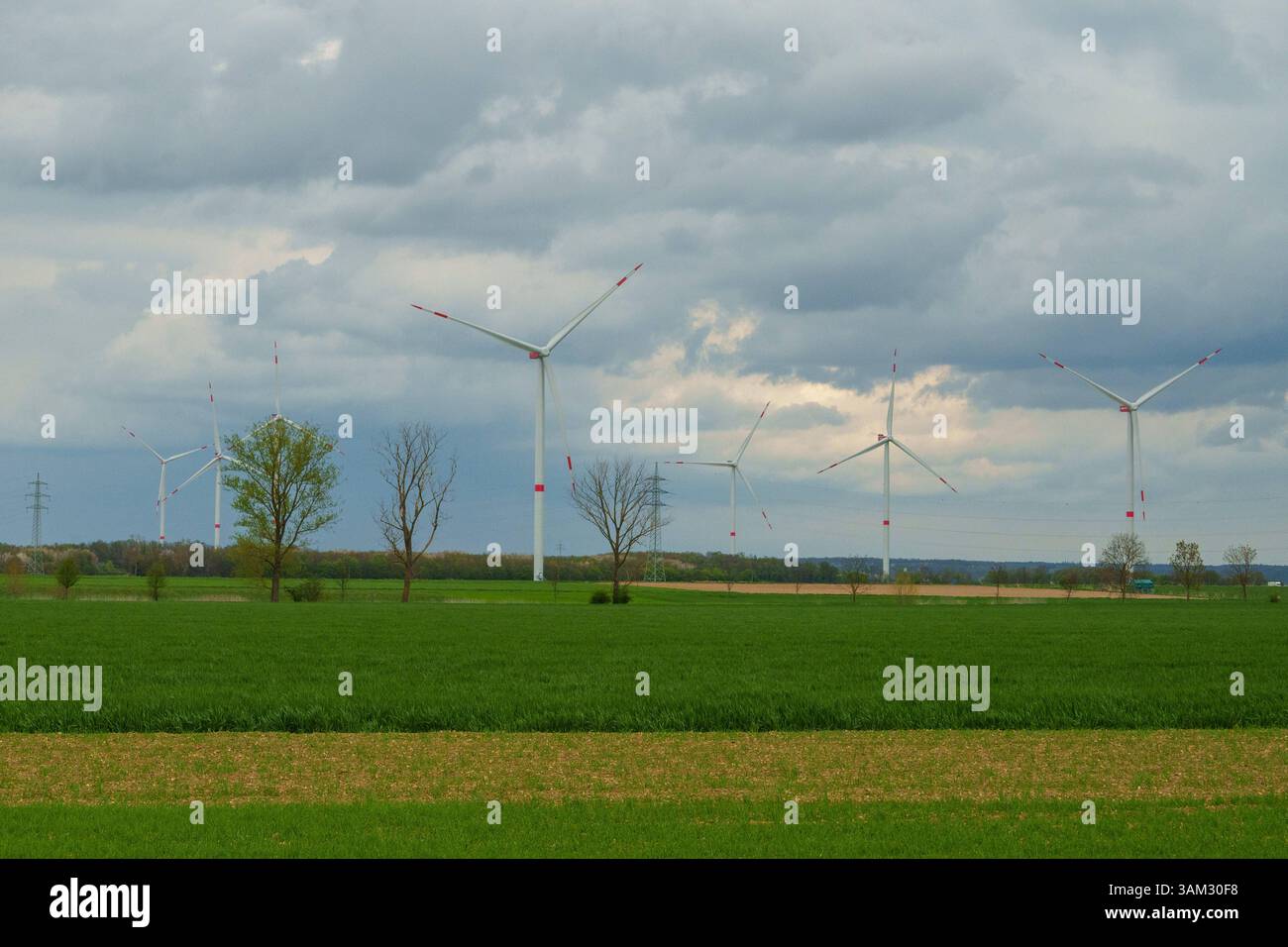 13.04.2025: Erftstadt, Rhein Erft Kreis, NRW, Deutschland Bild ...