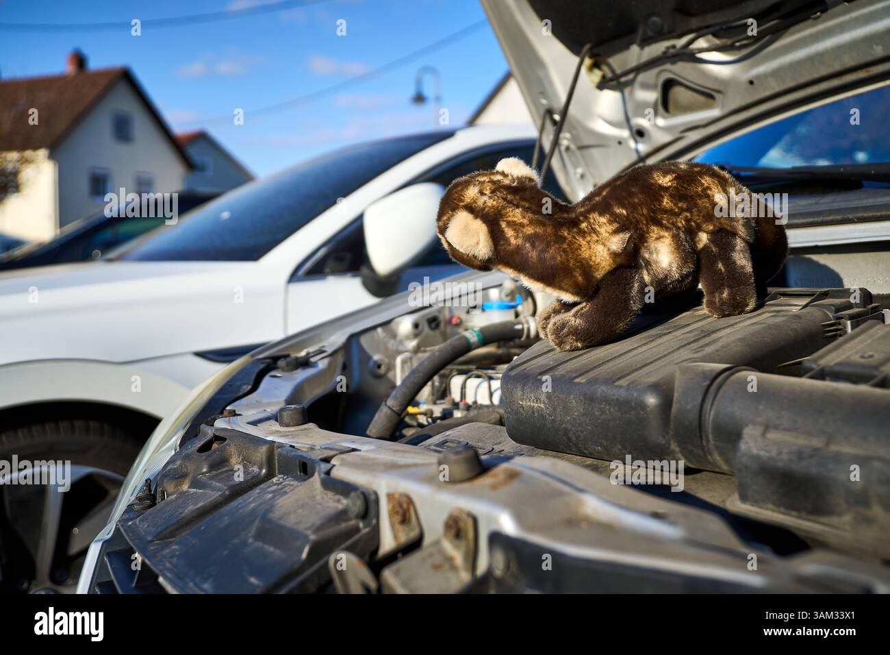 Gersthofen, Bavaria, Germany - April 9, 2025: A marten stuffed animal ...