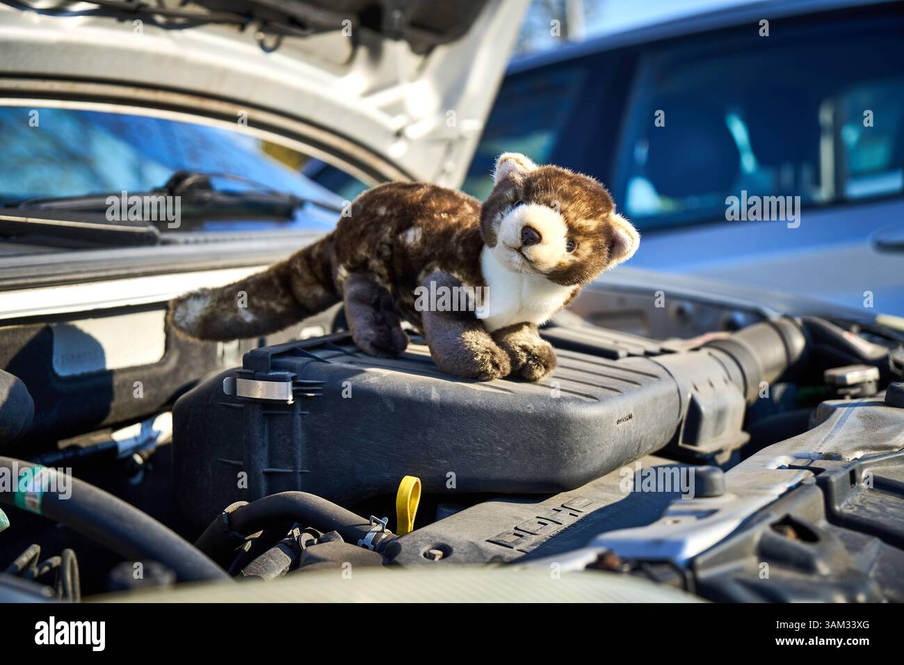 Gersthofen, Bavaria, Germany - April 9, 2025: A marten stuffed animal ...