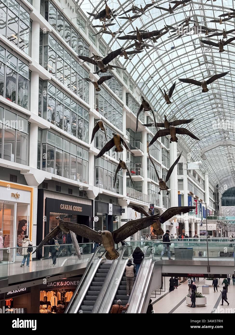 Michael Snow's Flight Stop art installation with Canada geese inside ...