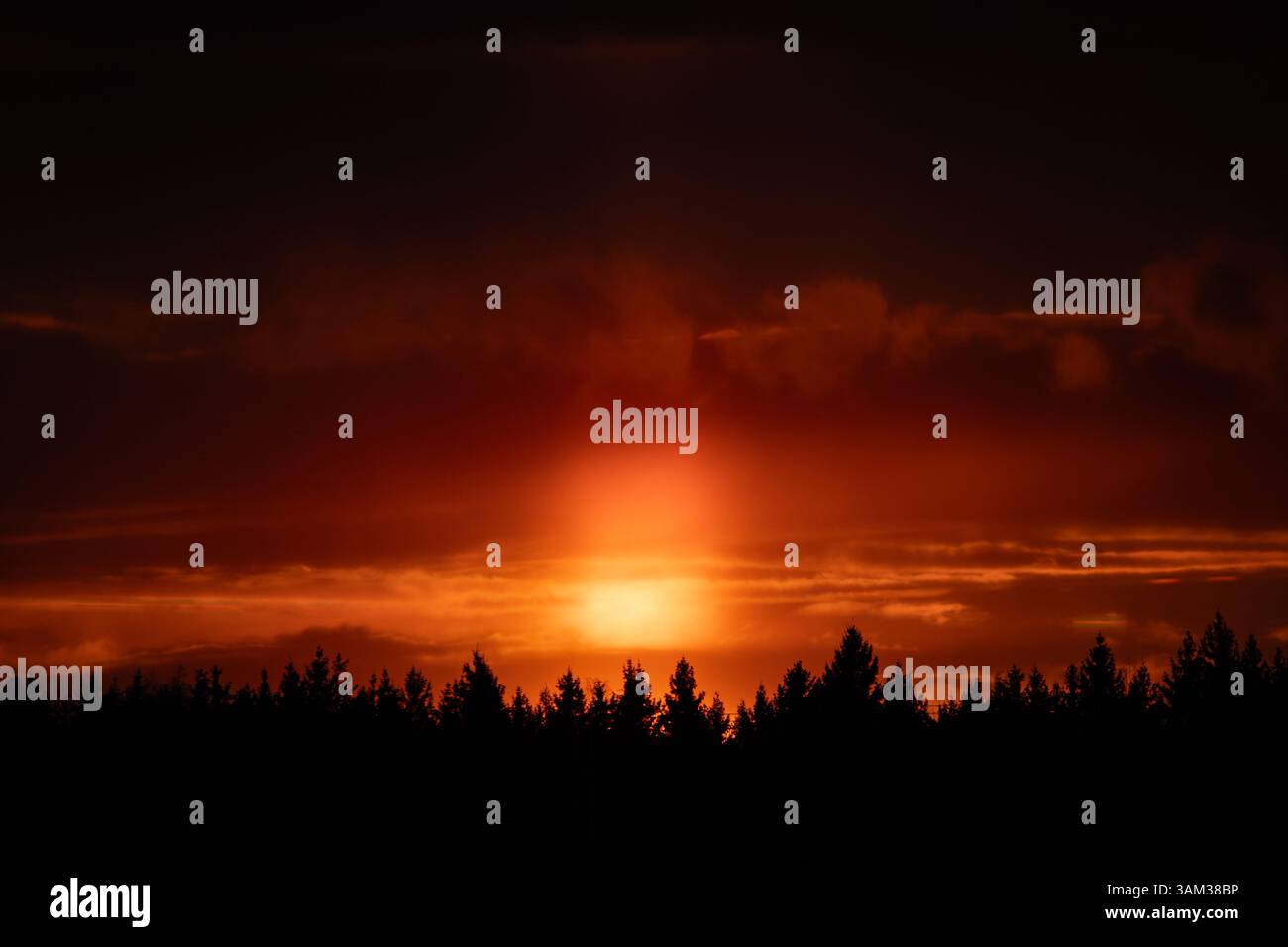 A powerful scene of the sun setting behind a dark forest, casting an ...