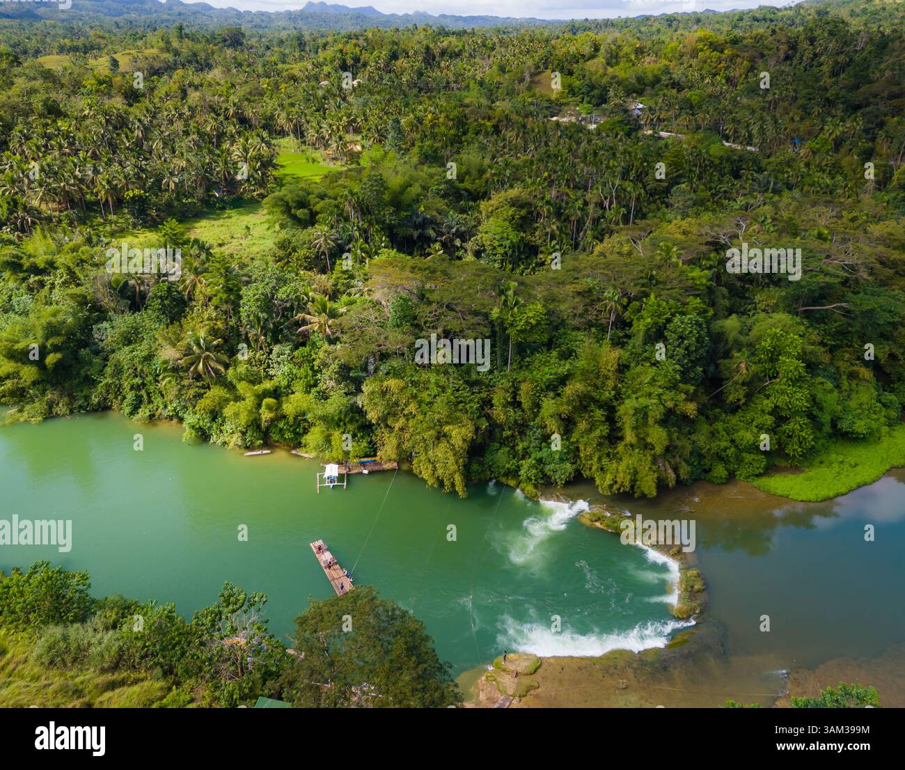 Loboc River with palm trees in Bohol island, Philippines. Aerial drone ...