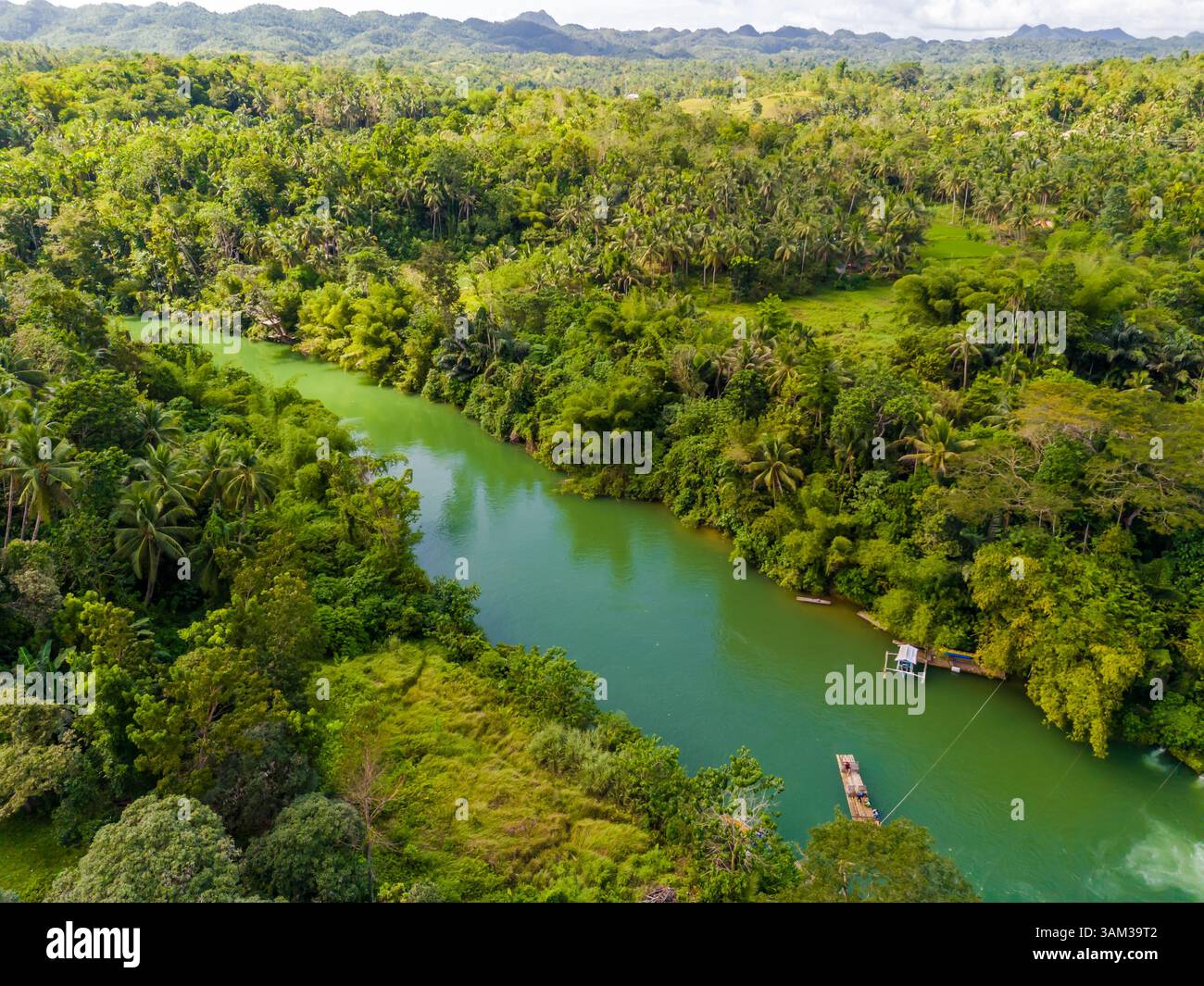 Loboc River with palm trees in Bohol island, Philippines. Aerial drone ...