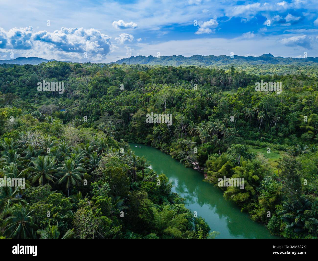 Loboc River with palm trees in Bohol island, Philippines. Aerial drone ...