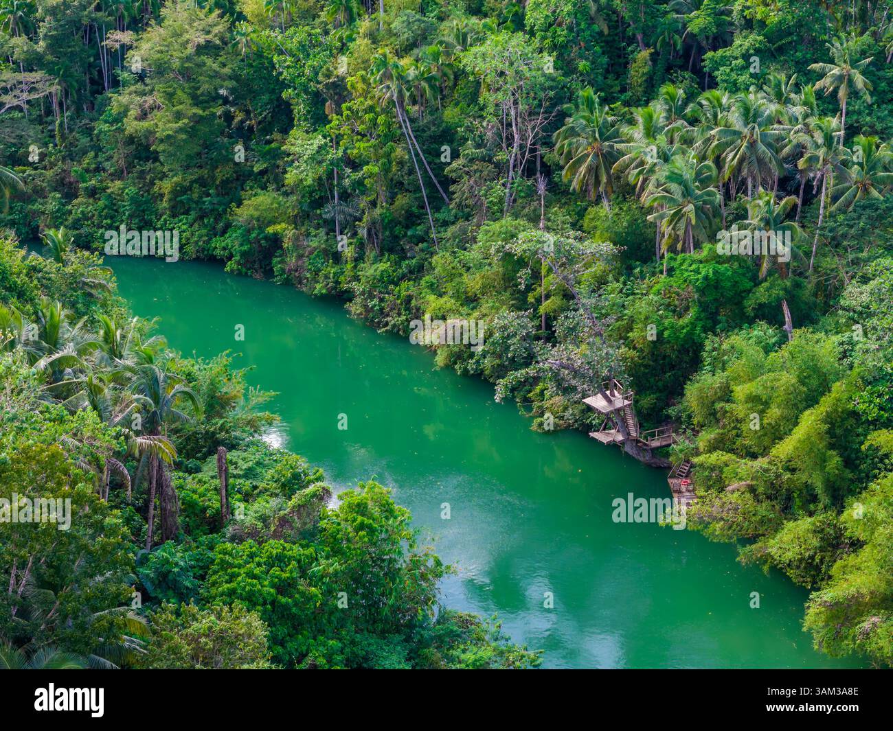 Loboc River with palm trees in Bohol island, Philippines. Aerial drone ...