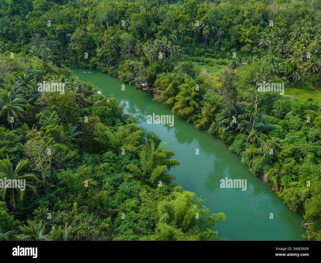 Loboc River with palm trees in Bohol island, Philippines. Aerial drone ...