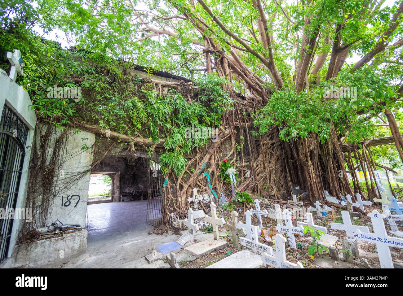Molo cemetery hi-res stock photography and images - Alamy