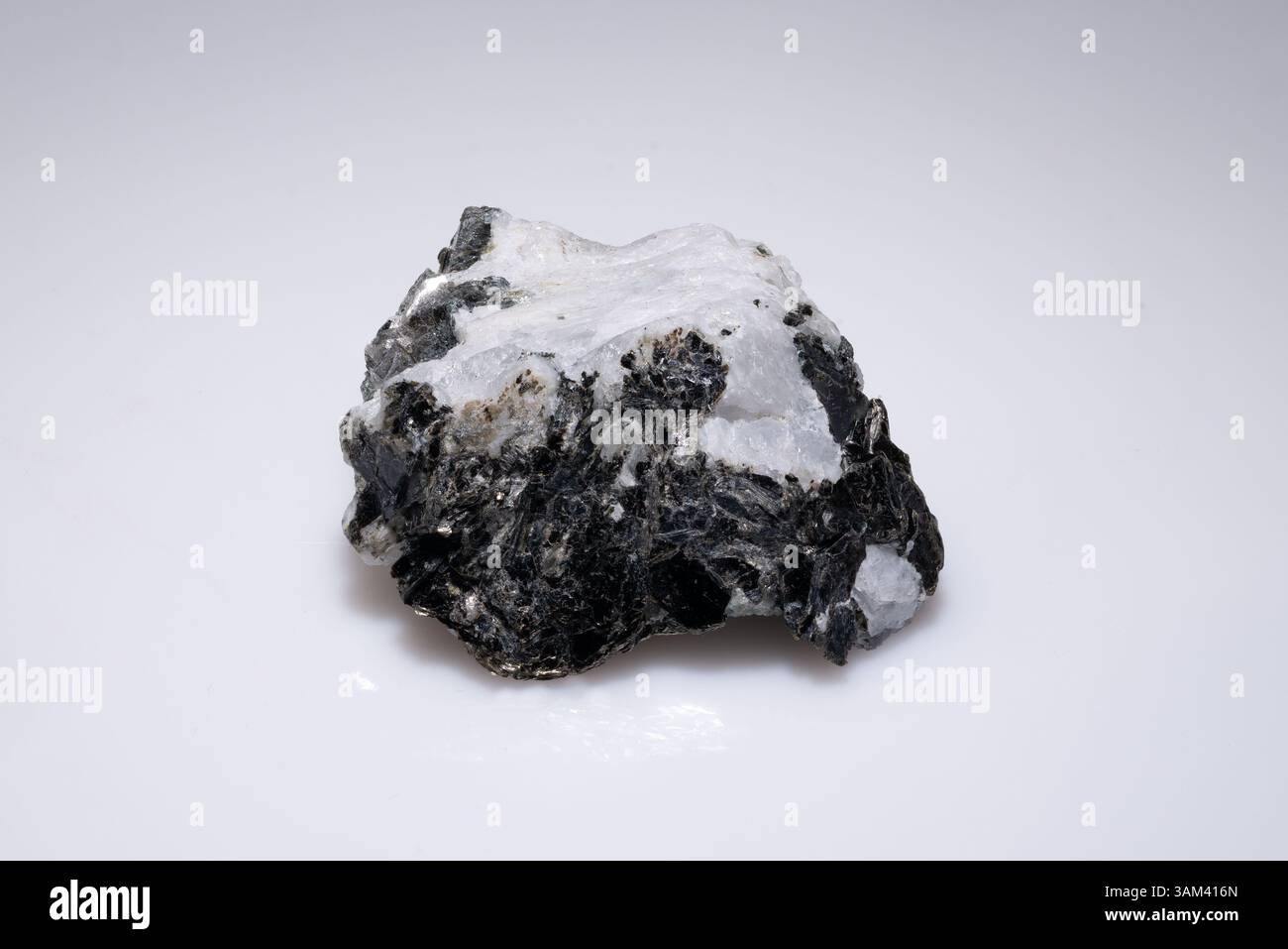 Rough moonstone specimen featuring contrasting dark and milky white ...