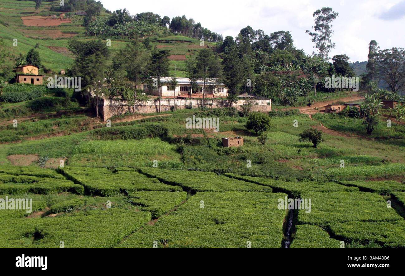 Hutu militias hi-res stock photography and images - Alamy