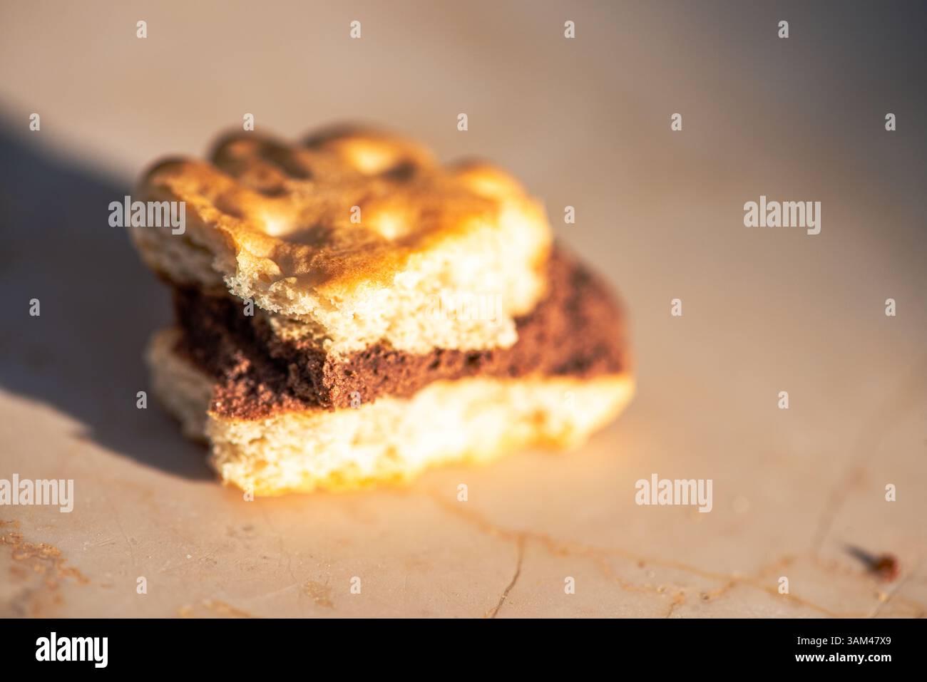A close-up shot of a biscuit basking in sunlight, capturing its texture ...