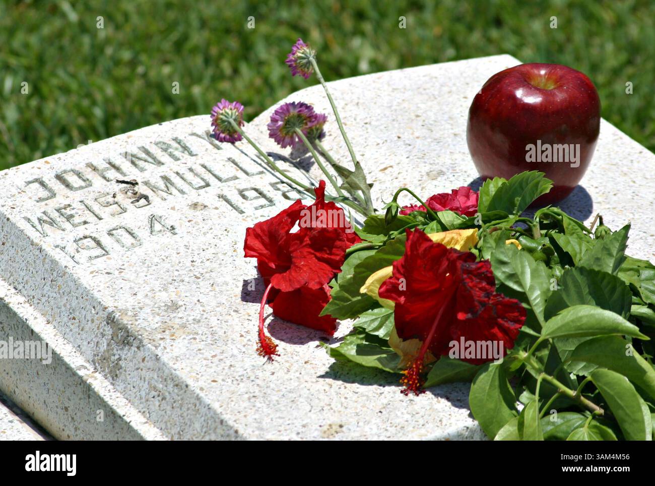 Mysterious tarzan hi-res stock photography and images - Alamy