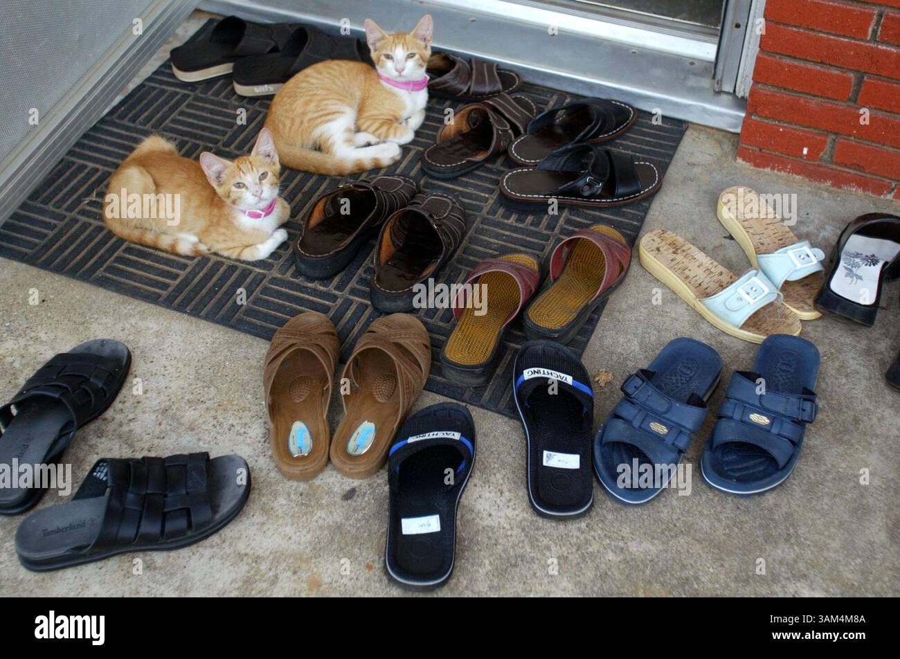 Aug. 8, 2004 - U.S. - KRT RELIGION STORY SLUGGED: RELIG-BUDDHISTTEMPLE ...