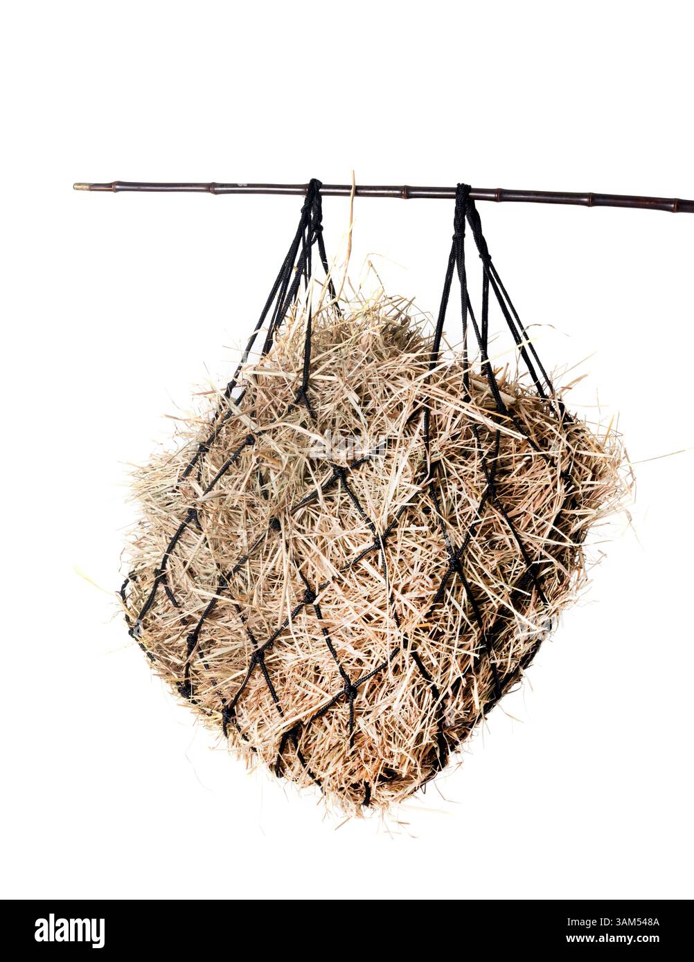 White horse eating hay Cut Out Stock Images & Pictures - Alamy