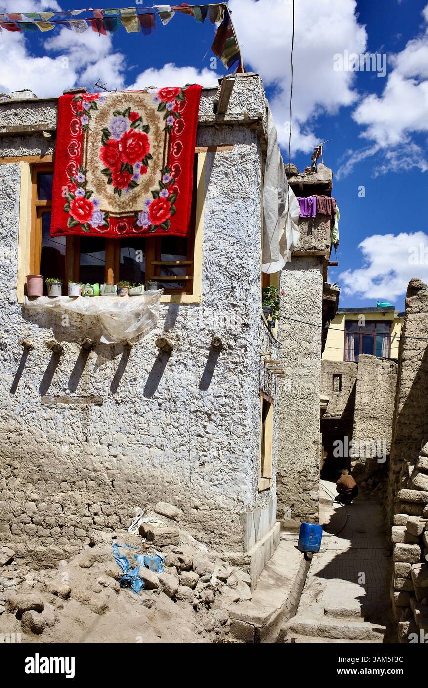 Traditional Ladakhi home in Leh with a bold floral carpet hung over the ...