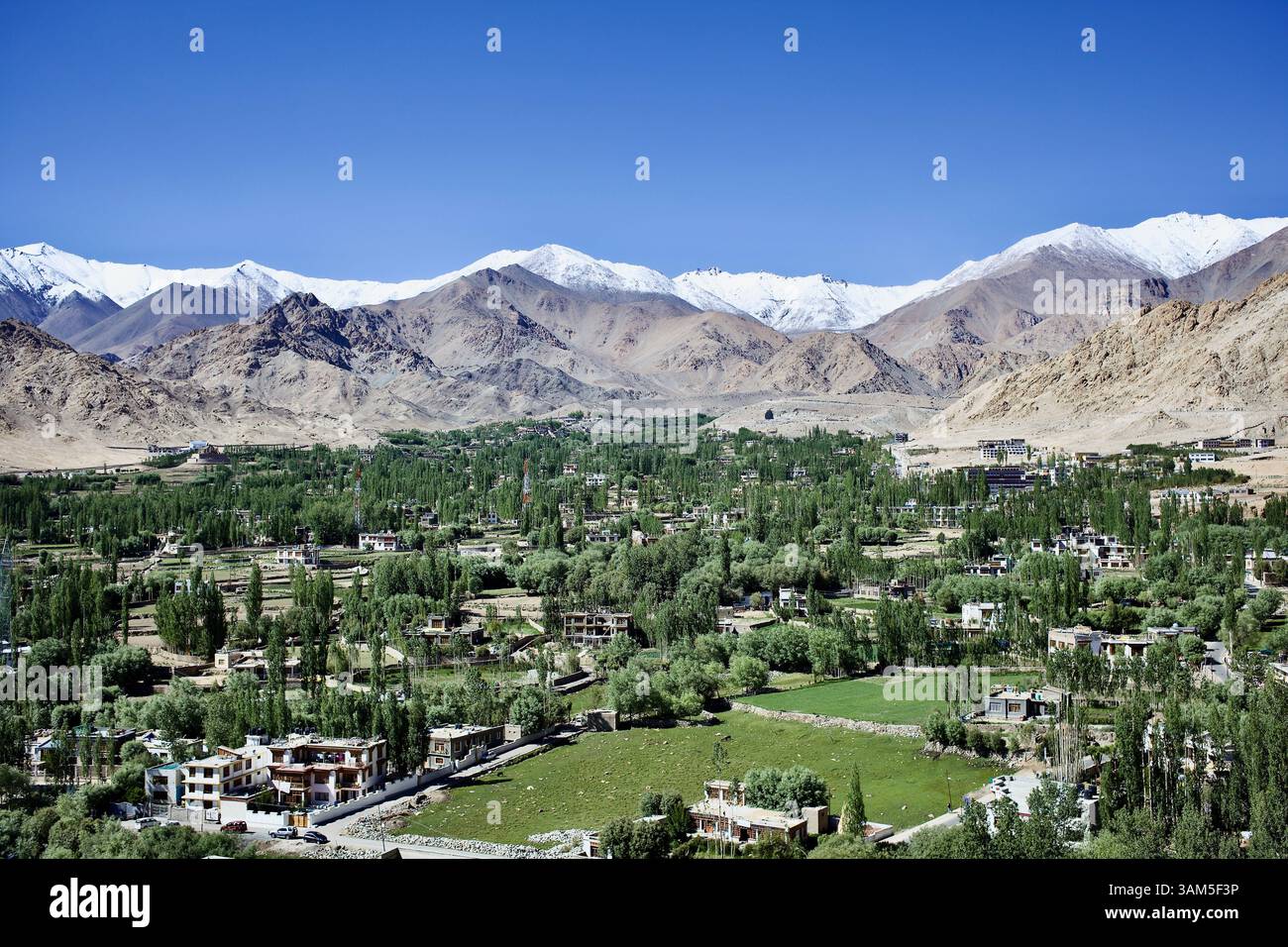 Lush valley and snow-capped Himalayan peaks seen from Leh Palace ...