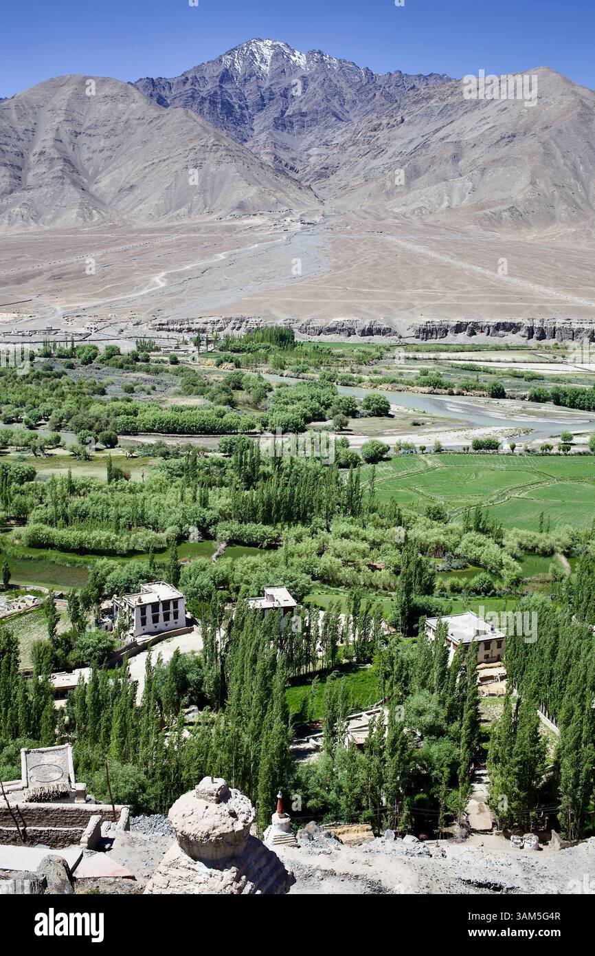 Lush green fields and scattered Ladakhi houses line the Indus basin ...