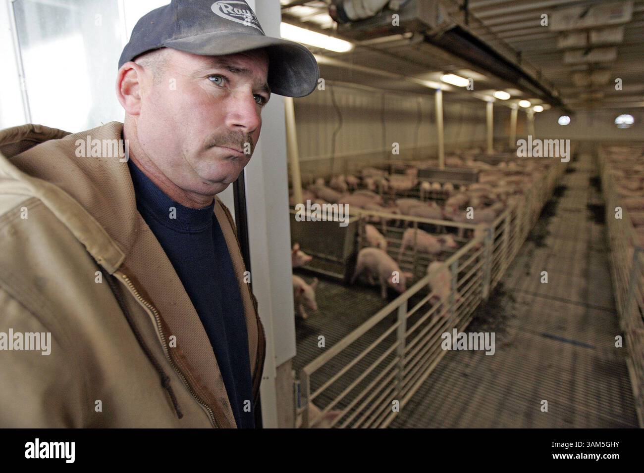 Nov. 10, 2004 - U.S. - KRT US NEWS STORY SLUGGED: ENV-MANURE KRT ...