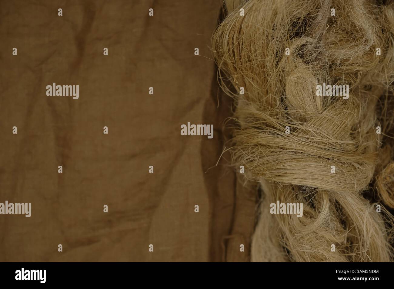 Raw linen fiber over brown linen fabric. Natural materials in textile ...